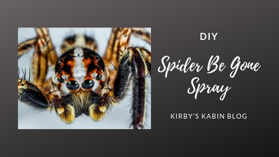 Spider Be Gone Spray – Pollywog's Place Blog